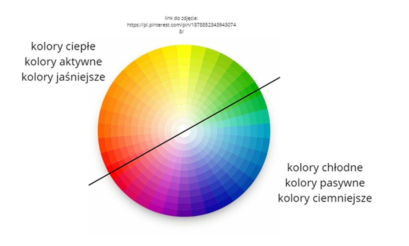 Czym Jest Koło Barw i Do Czego Służy? Twórz Niesamowite Stylizacje